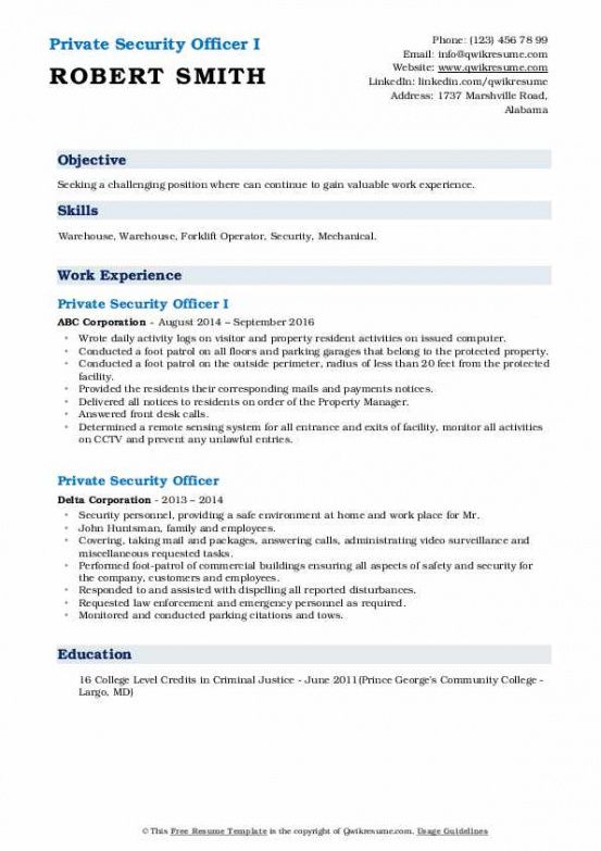 Free Security Officer Daily Activity Report Template PDF Stableshvf